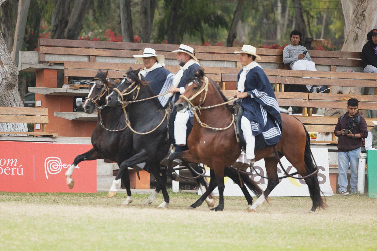 Concurso Nacional Oficial Del Caballo Peruano De Paso - Descubre este lugar turístico en LURIN ...