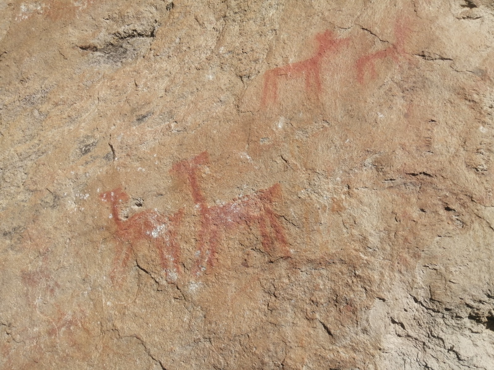 Peñón De Yacari - Descubre este lugar turístico en JULI, Puno | Datahub